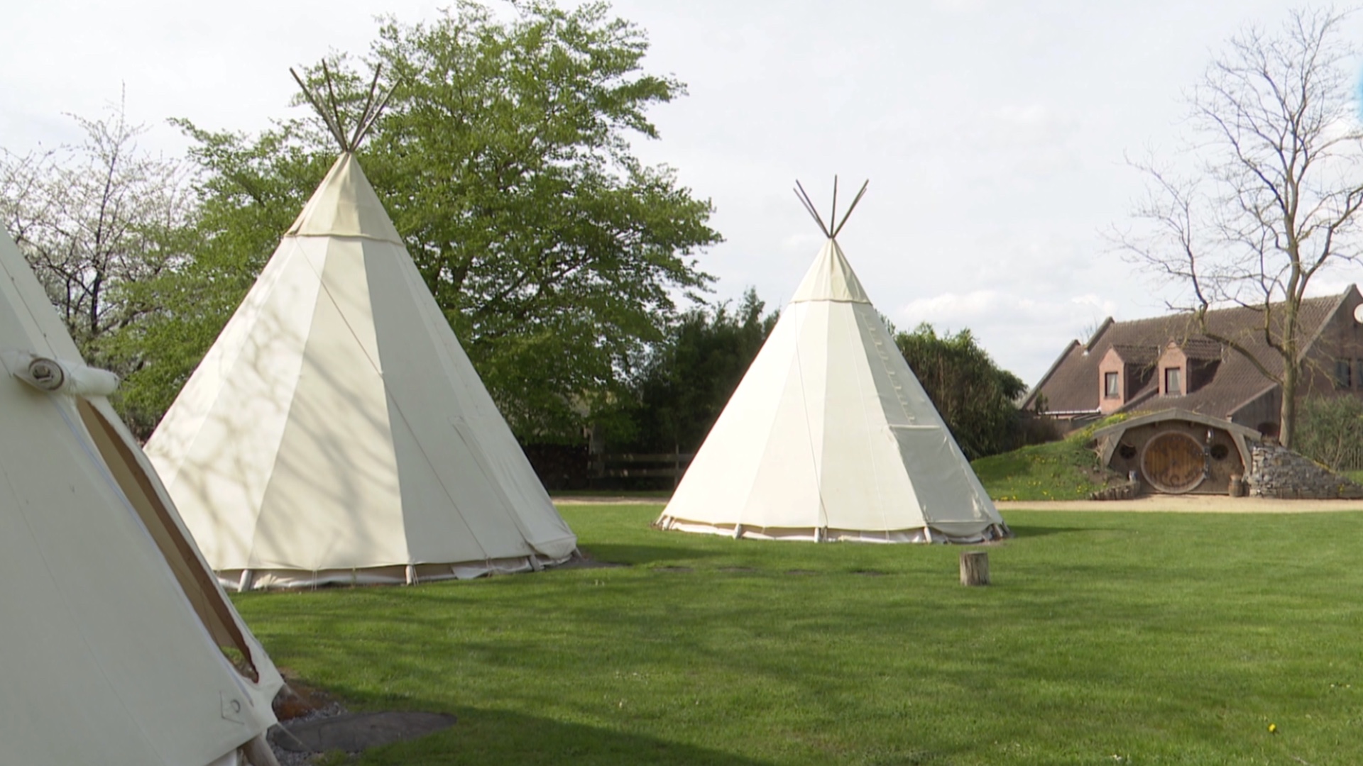 C'est tout toit : un voyage enchanté dans le Domaine de Carnin