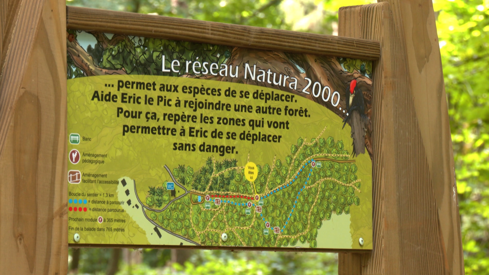 Le sentier du pic noir, une promenade pédagogique adaptée aux personnes ...