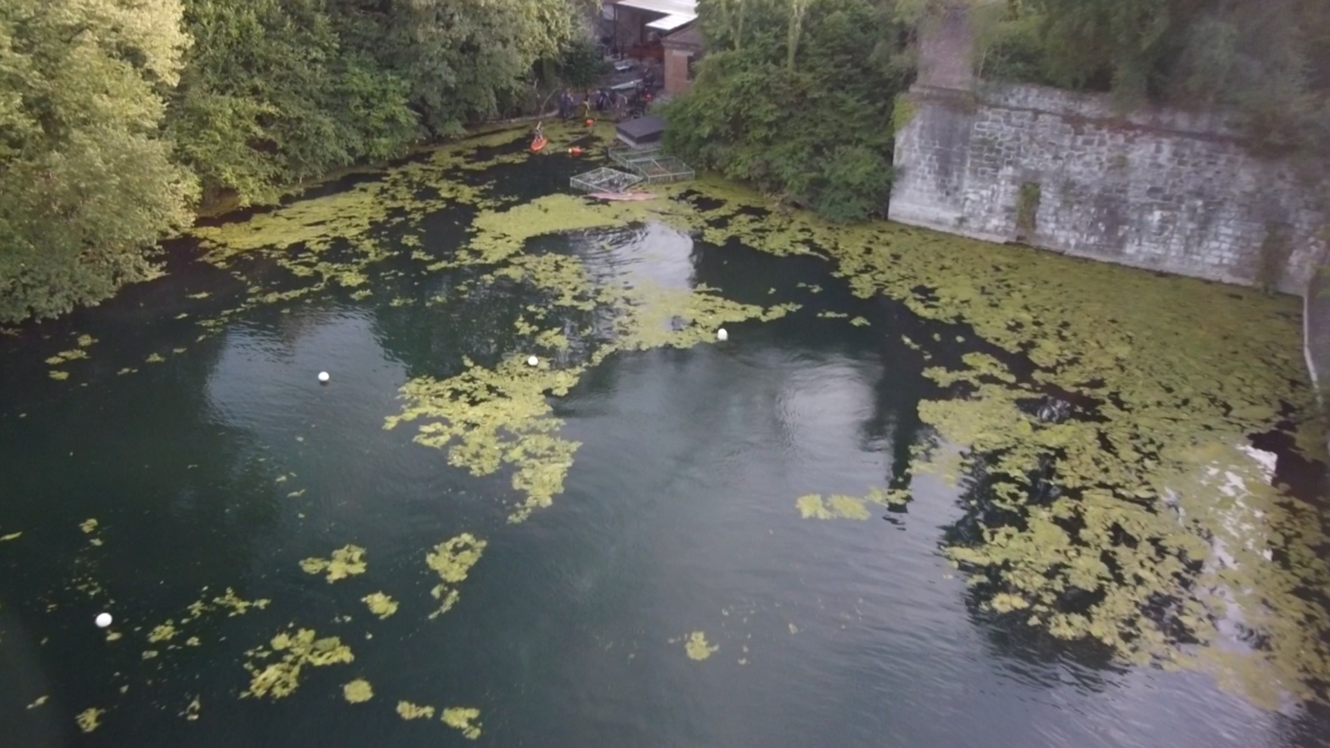 Triathlon des Aviateurs : les carrières de Maffle remplies d'algues et ...
