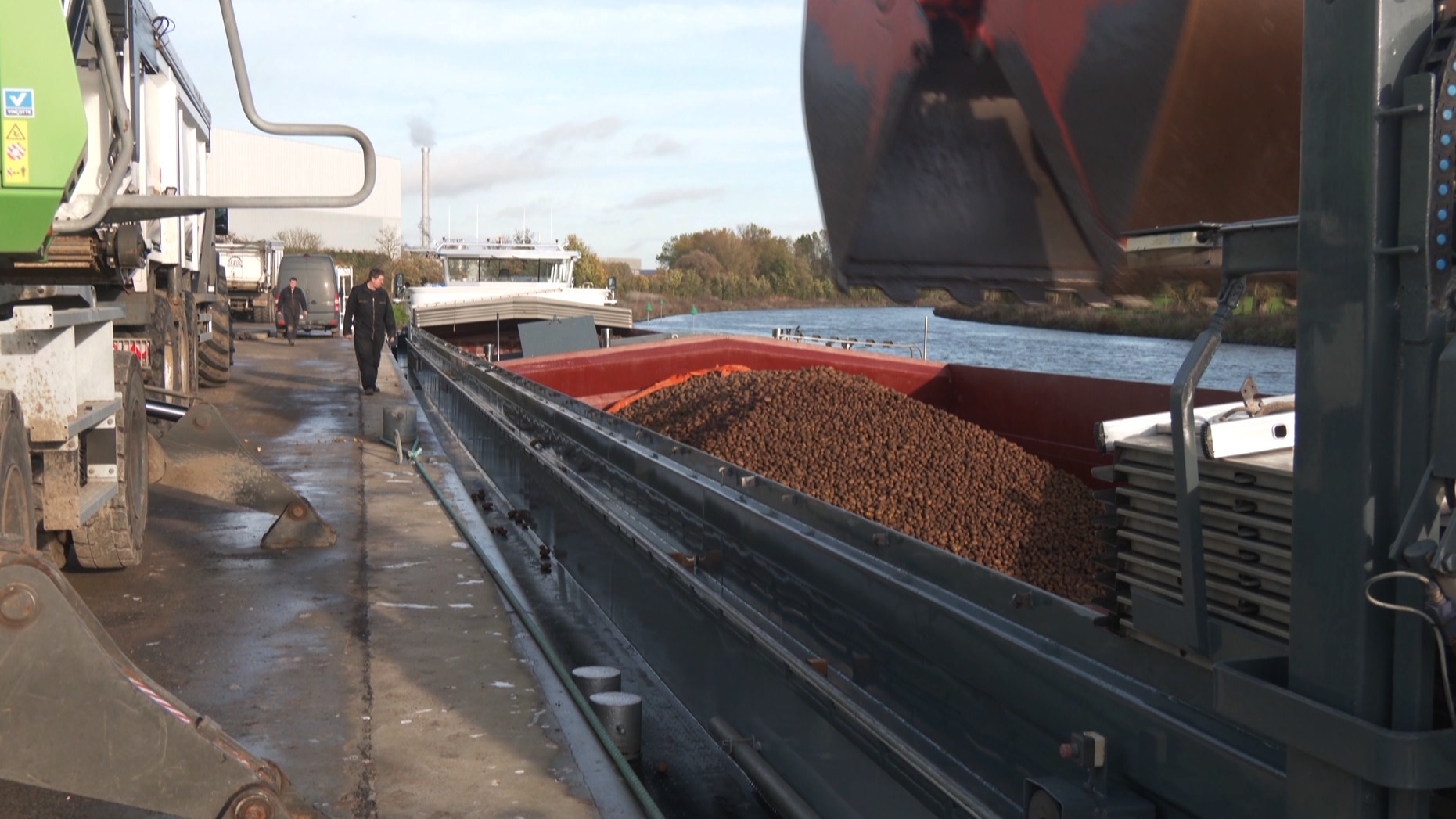 Pénurie de pommes de terre dans la région : l'entreprise Clarebout ...