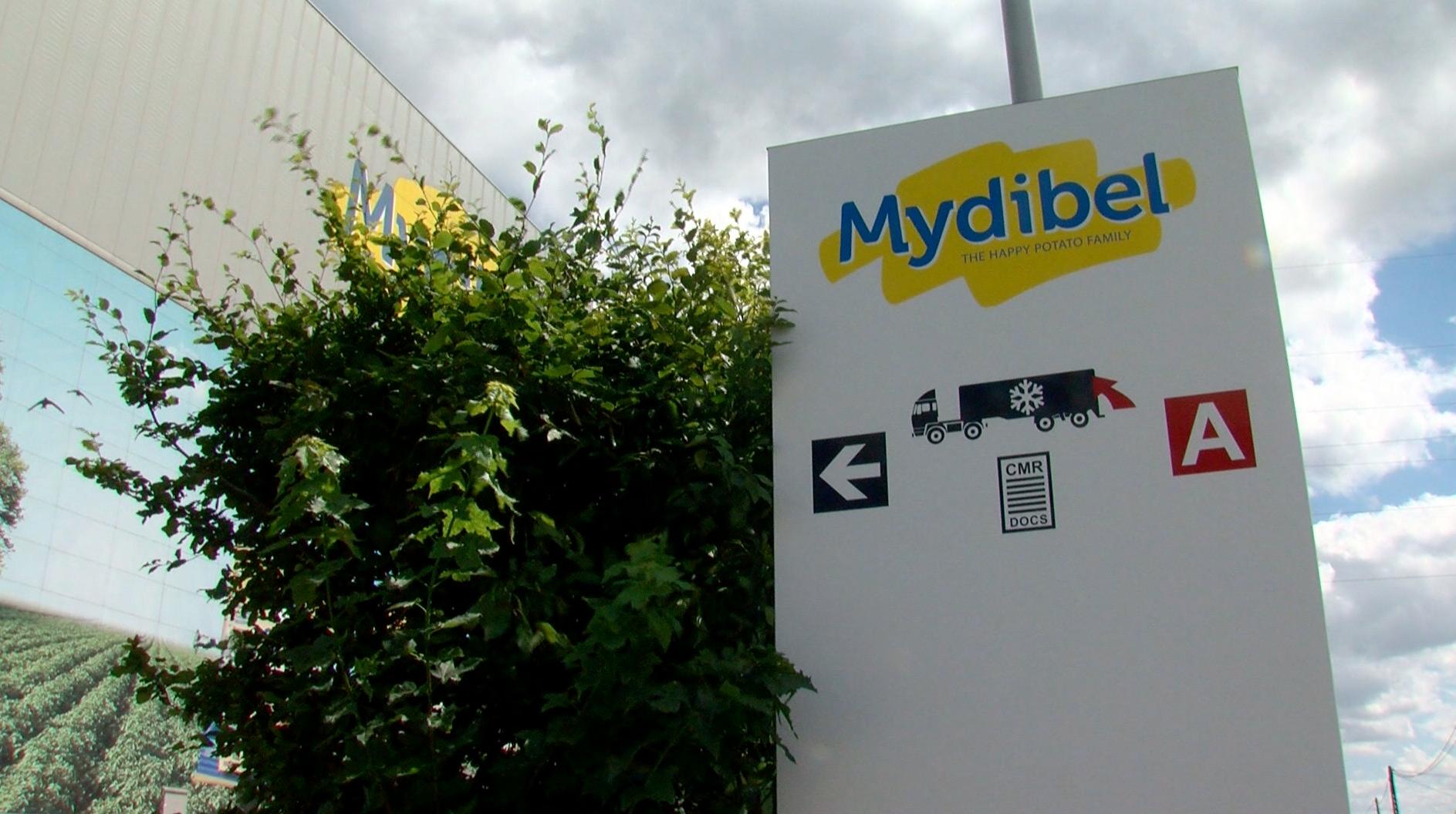 Le géant de la frite surgelée, Clarebout Potatoes, rachète Mydibel