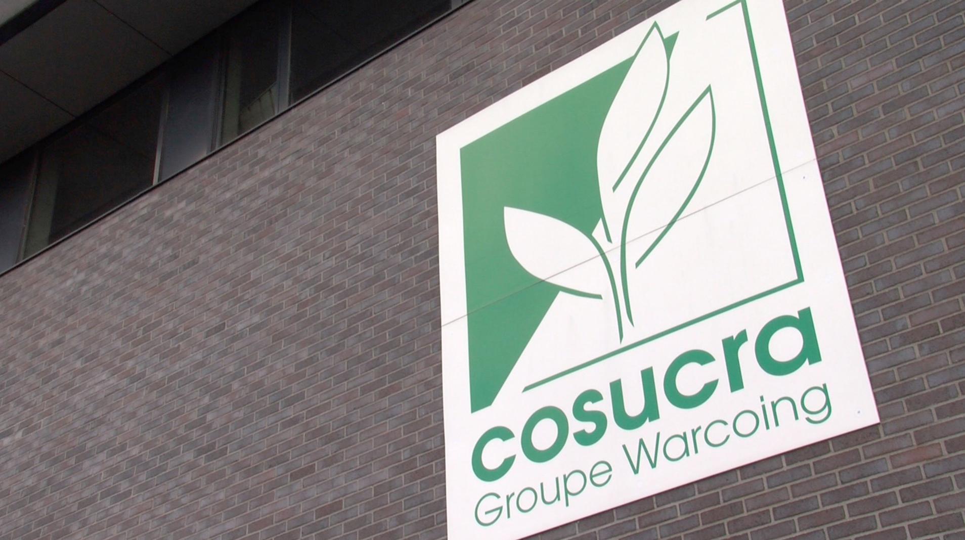 Warcoing : 8 employés licenciés pour raisons économiques chez Cosucra