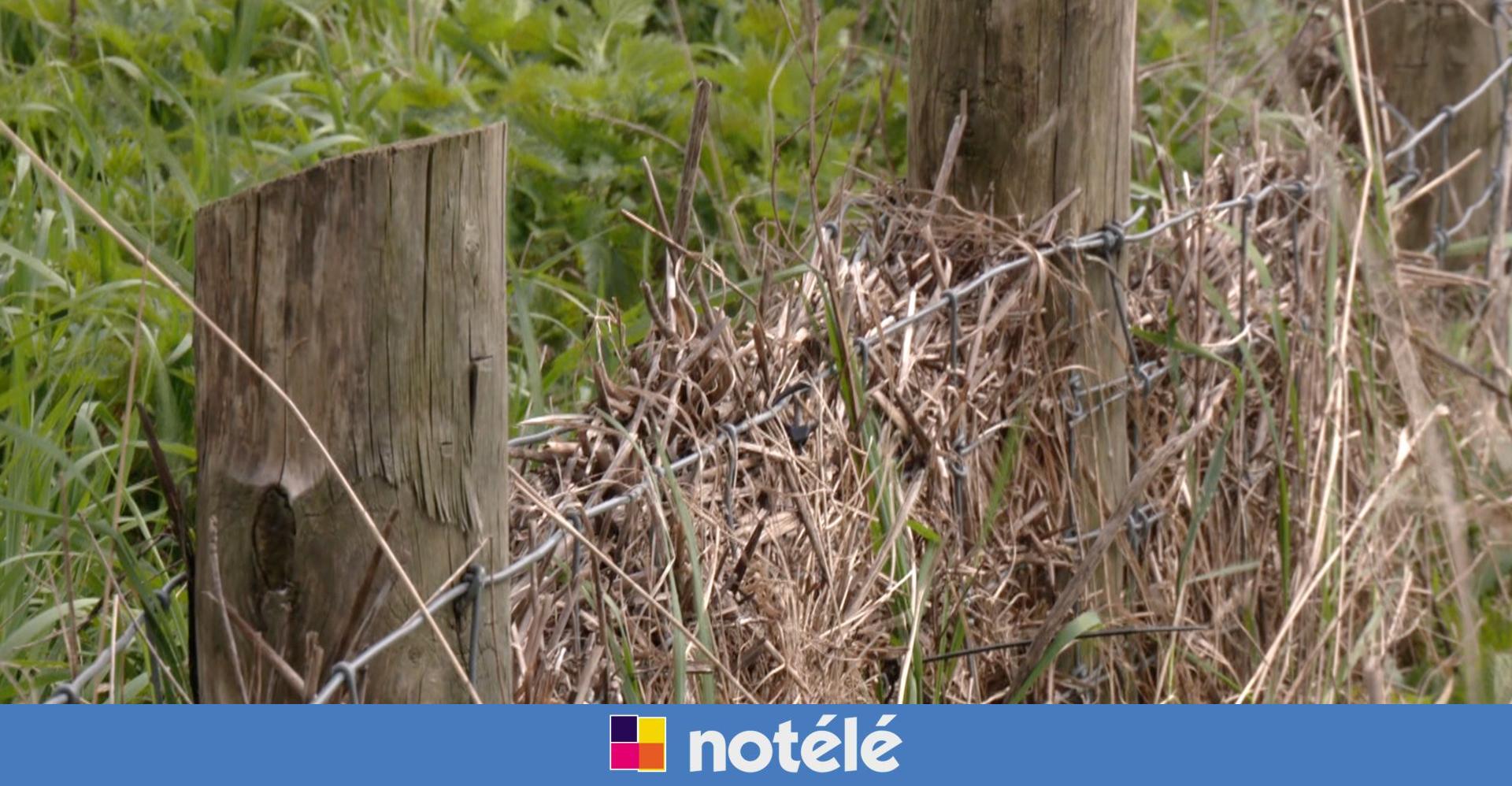 Ath: des mesures pour lutter contre les inondations