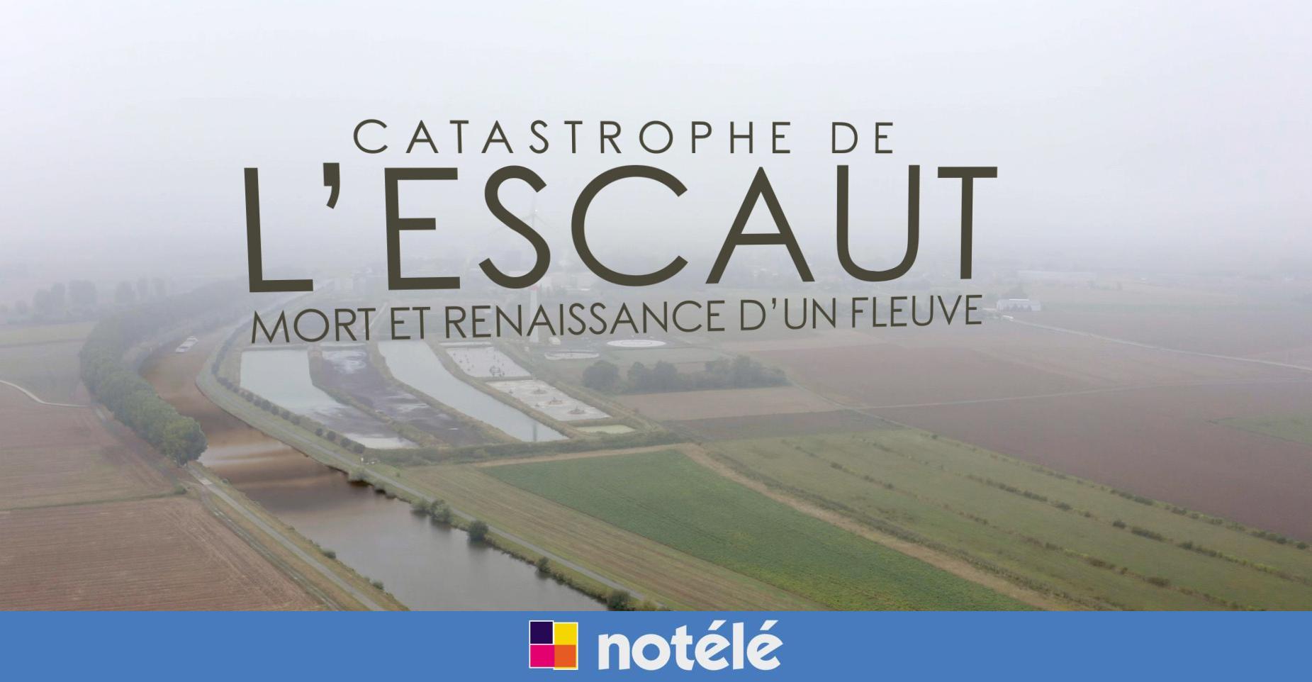 «Catastrophe de l'Escaut, mort et renaissance d'un fleuve» : un ...
