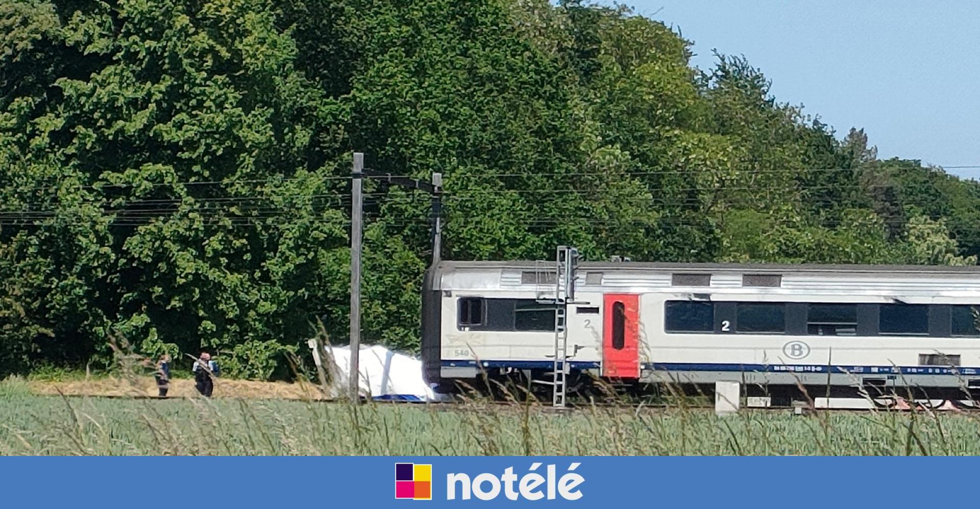 Rail : le trafic ferroviaire interrompu entre Leuze et Tournai suite au heurt d'une personne à ...