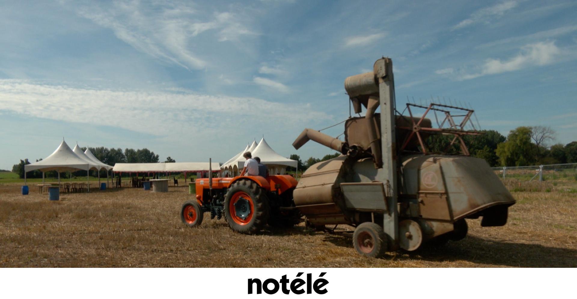 La Glanerie : la fête de la moisson se prépare