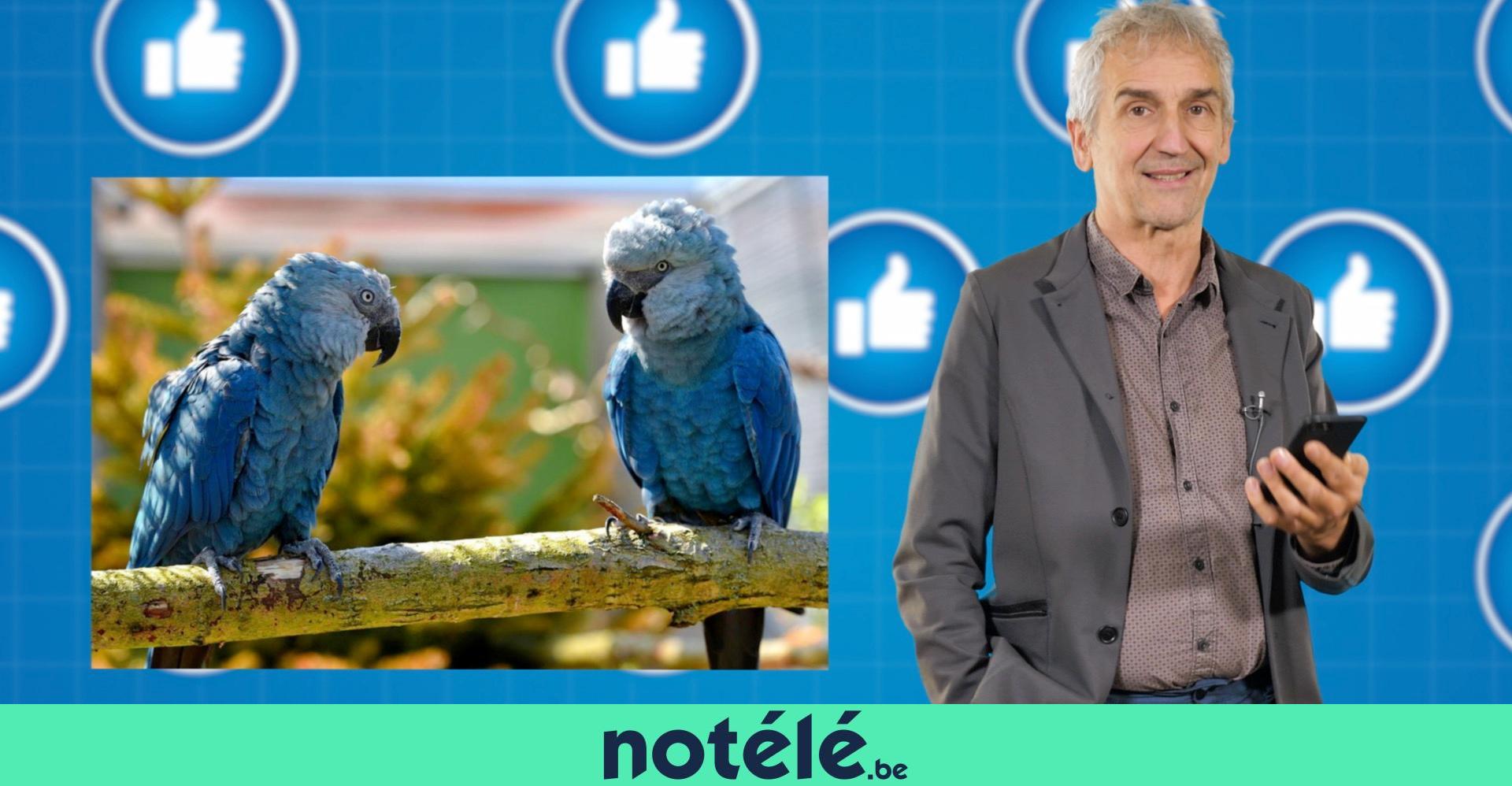 Et puis quoi encore ! Bruno est survolté