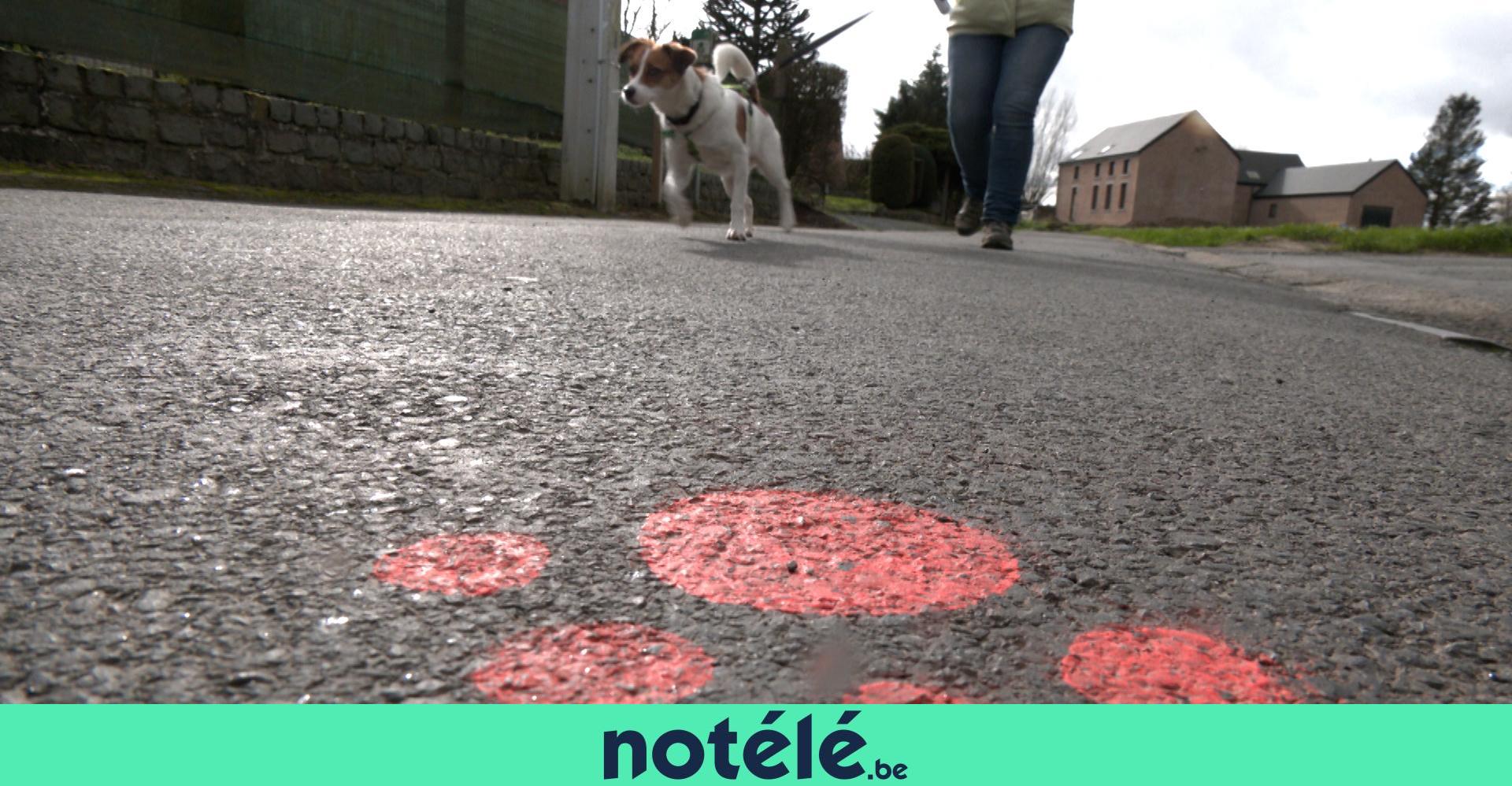 Le syndicat d'initiative de Silly a lancé un guide du «toutourisme» à ...