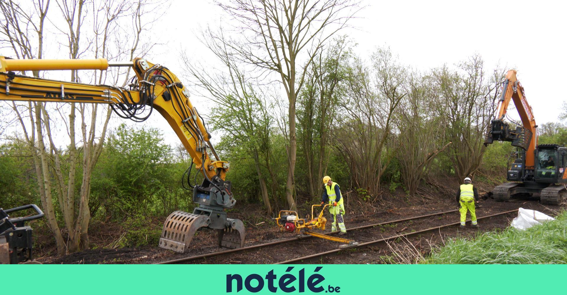 Frasnes : le RAVeL de l'ancienne ligne 86 est sur les rails