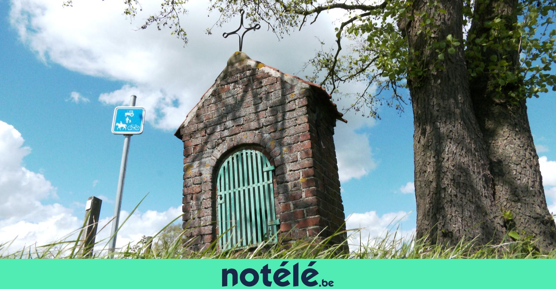 Ellezelles : la commune appelle les bénévoles à recenser le Petit ...