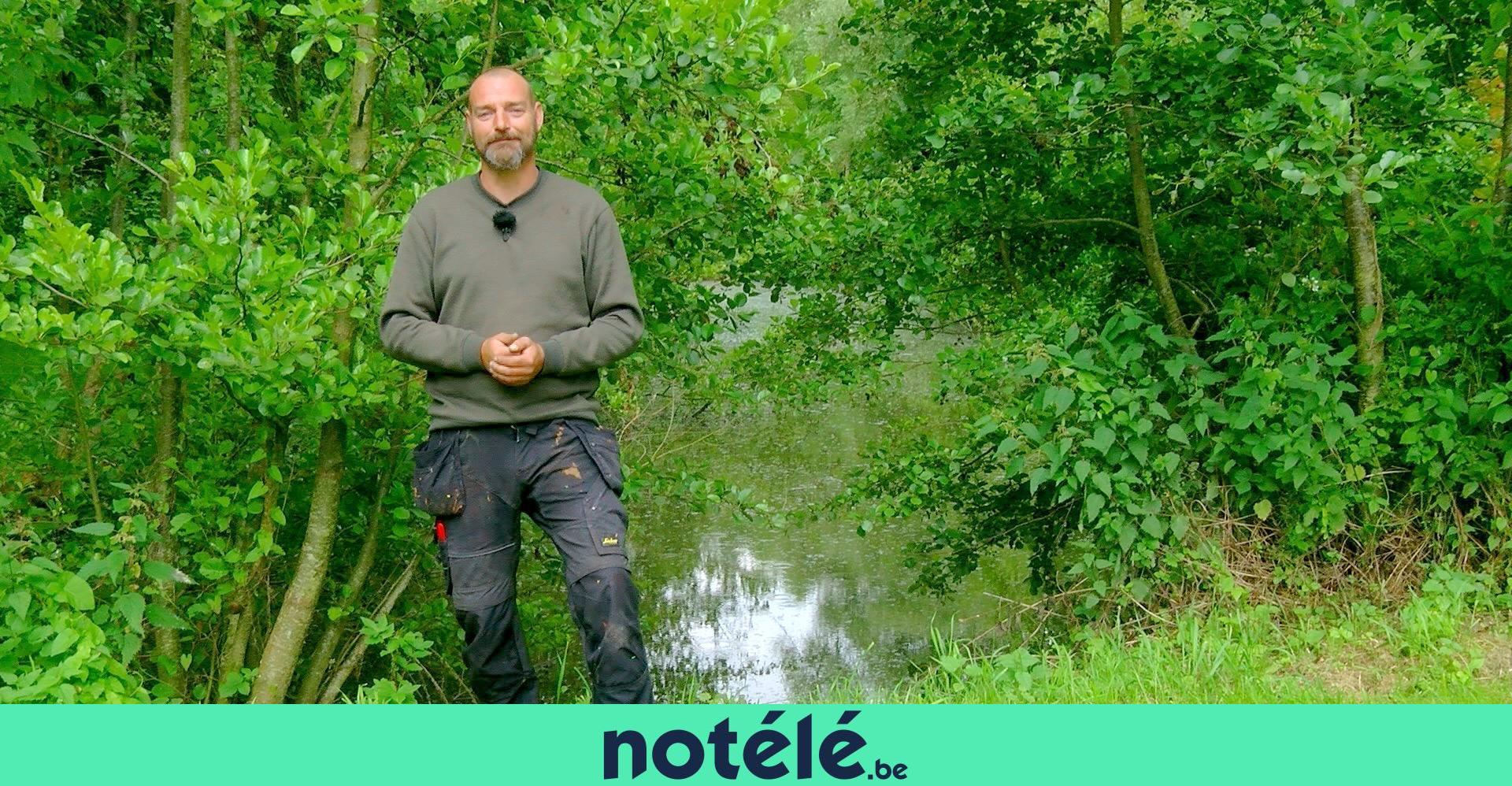 Les astuces jardinage : comment aménager un talus