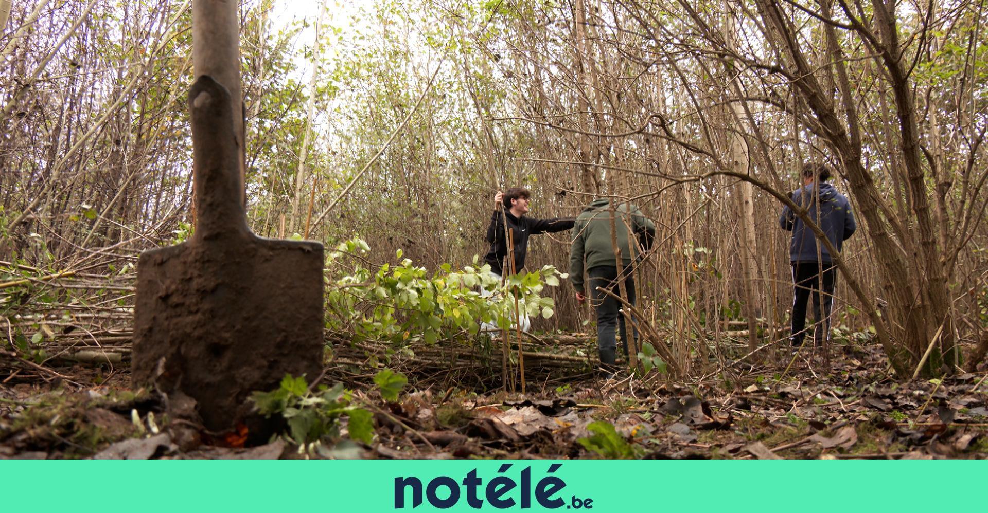 Kain : les élèves de rhéto des Ursulines compensent leur empreinte ...