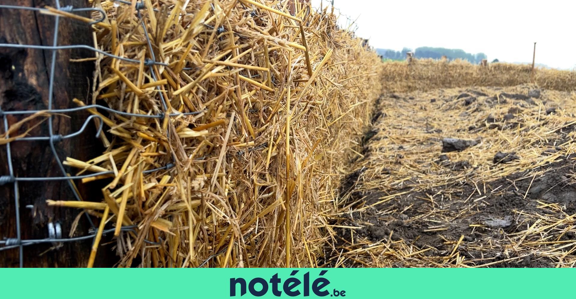 Chantier participatif à Celles : la lutte contre les inondations s ...