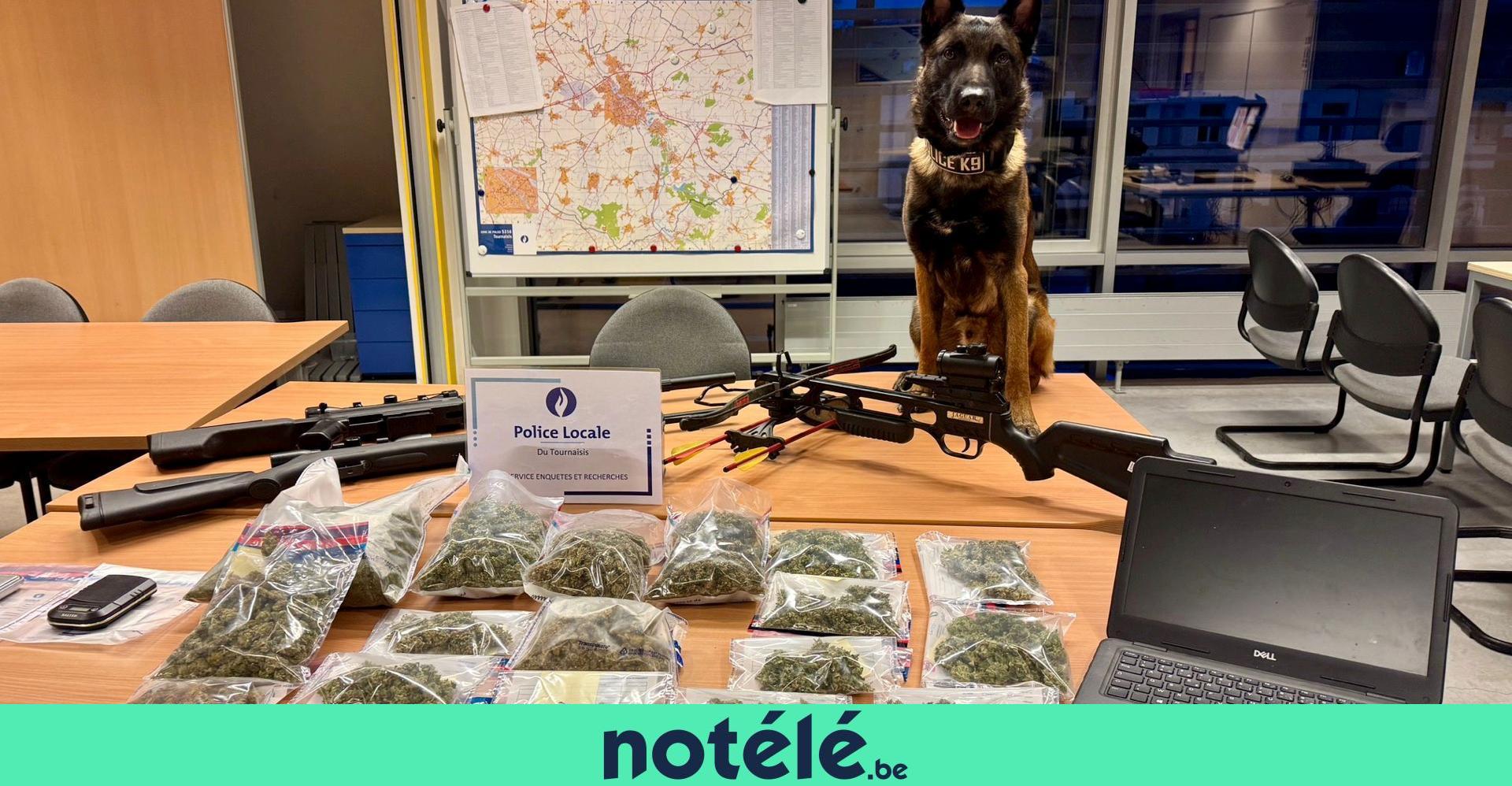 Tournai : plus d’un kilo de marijuana saisi lors d’une perquisition, un ...