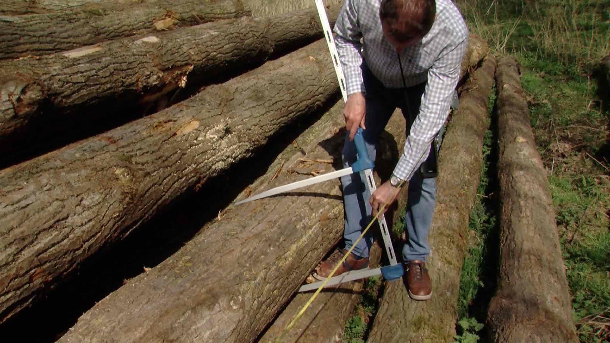 De Terck Bois à Béclers : un siècle d'expertise dans le domaine de l ...
